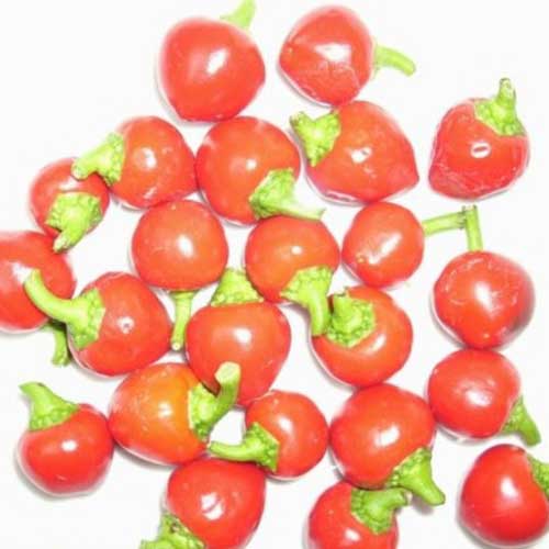 Red Cherry Small Chilisamen bestellen - chili-shop24.de